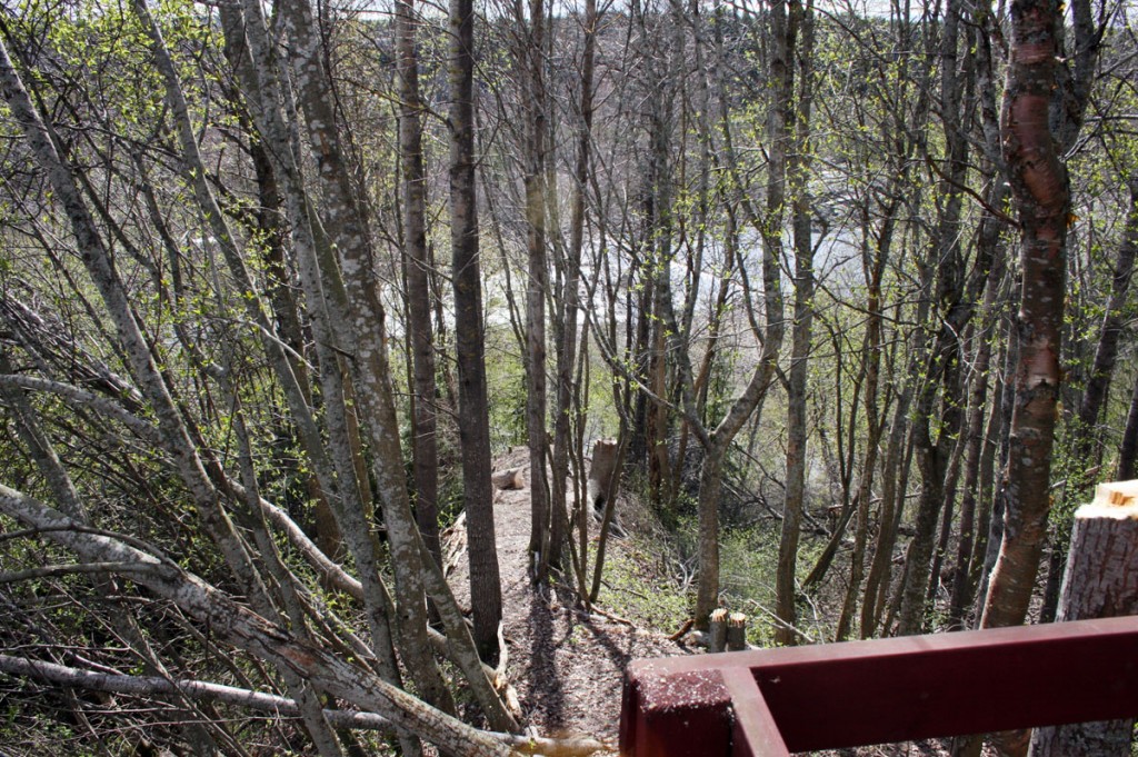 Key Habitat (Protected area) · Arboretum Norr
